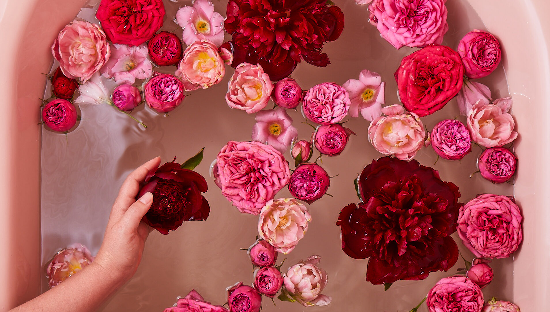 Valentine's Day Flower Pop Up at Dutch Baby Bakery - flowerswithemily.com